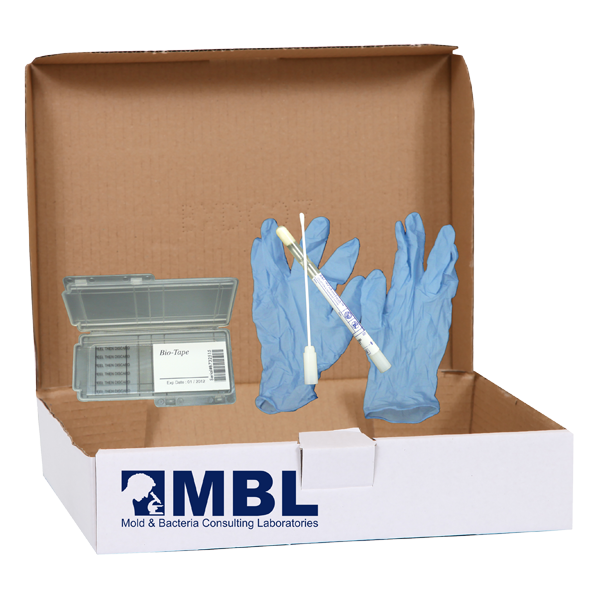 Visible Mold Test Kit | Mold Testing Kit